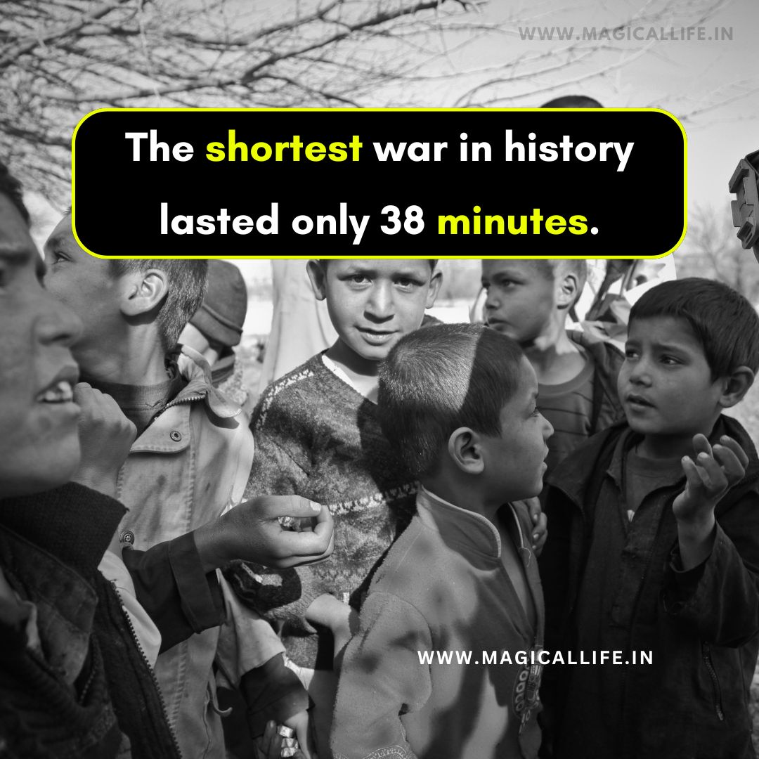 50 Interesting Facts About Life | Amazing Facts | Life Facts ...