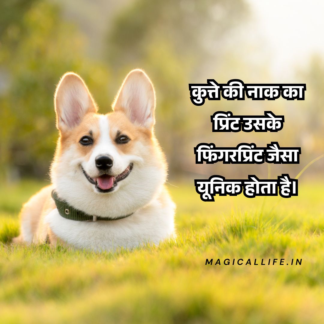 जीव विज्ञान के 60 रोचक तथ्य | Amazing Biology Facts in Hindi ...