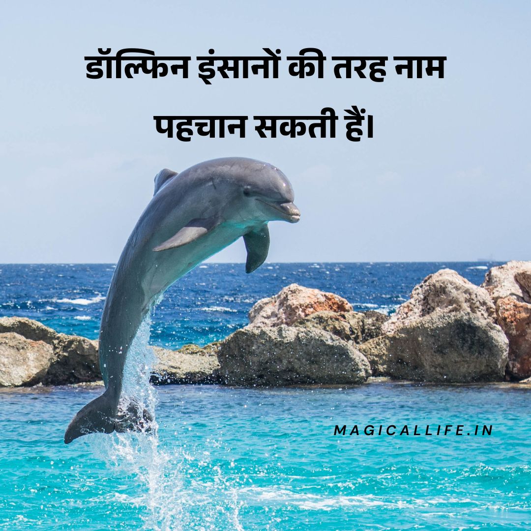 जीव विज्ञान के 60 रोचक तथ्य | Amazing Biology Facts in Hindi ...