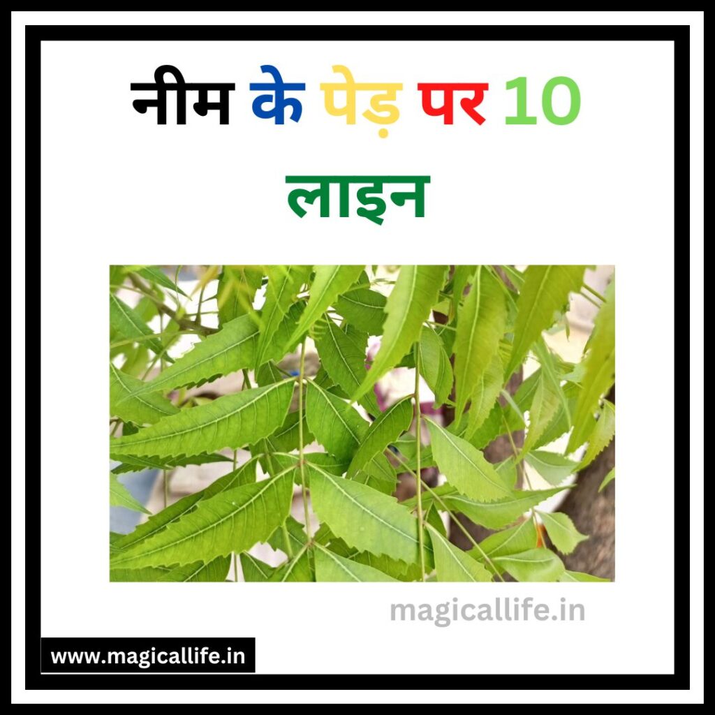 10 Lines on Neem Tree in Hindi | नीम के फायदे और नुकसान - MAGICALLIFE.IN