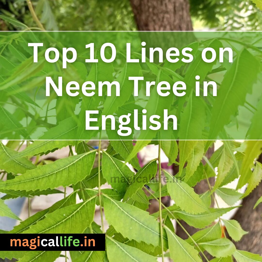 Top 10 Lines on Neem Tree in English - MAGICALLIFE.IN