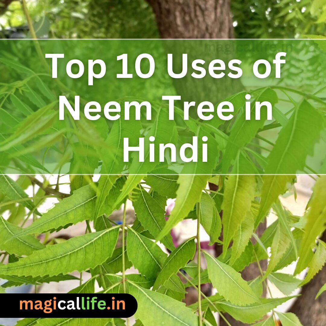 Top 10 Uses of Neem Tree in Hindi | नीम के 10 फायदे - MAGICALLIFE.IN